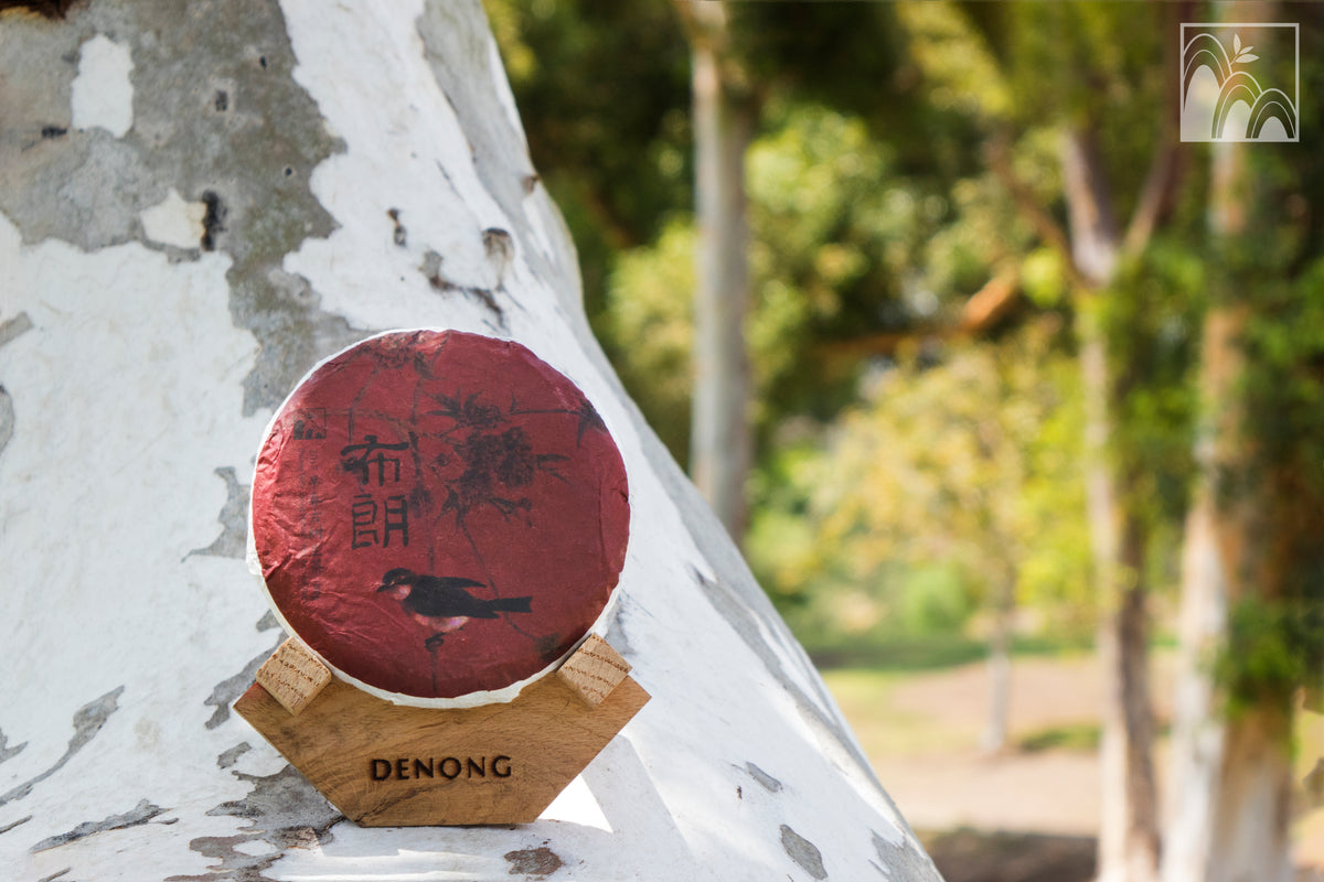 Finding Your Perfect Tea – Denong Tea