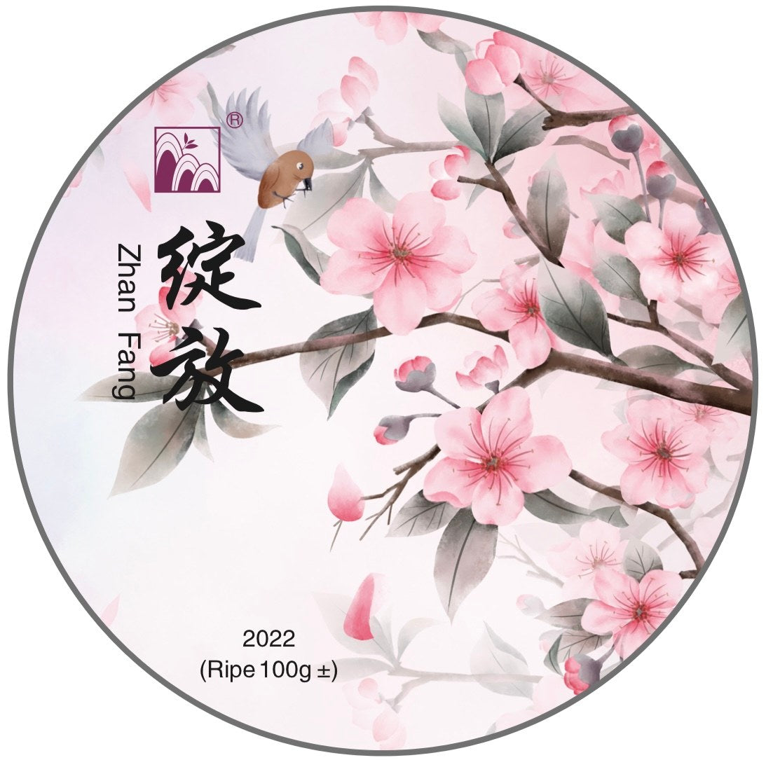 2022 Zhan Fang Ripe – Denong Tea